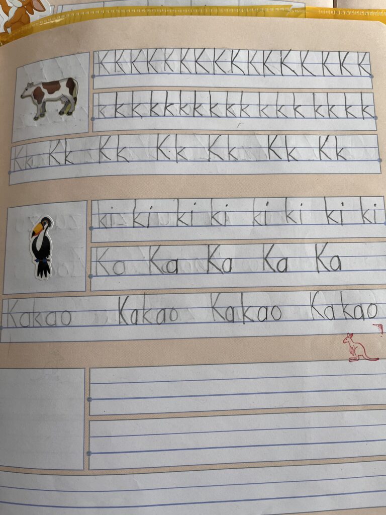 Das W.1 als Erinnerungs-Schatzkiste - Ursus Formati Lehrer:innen