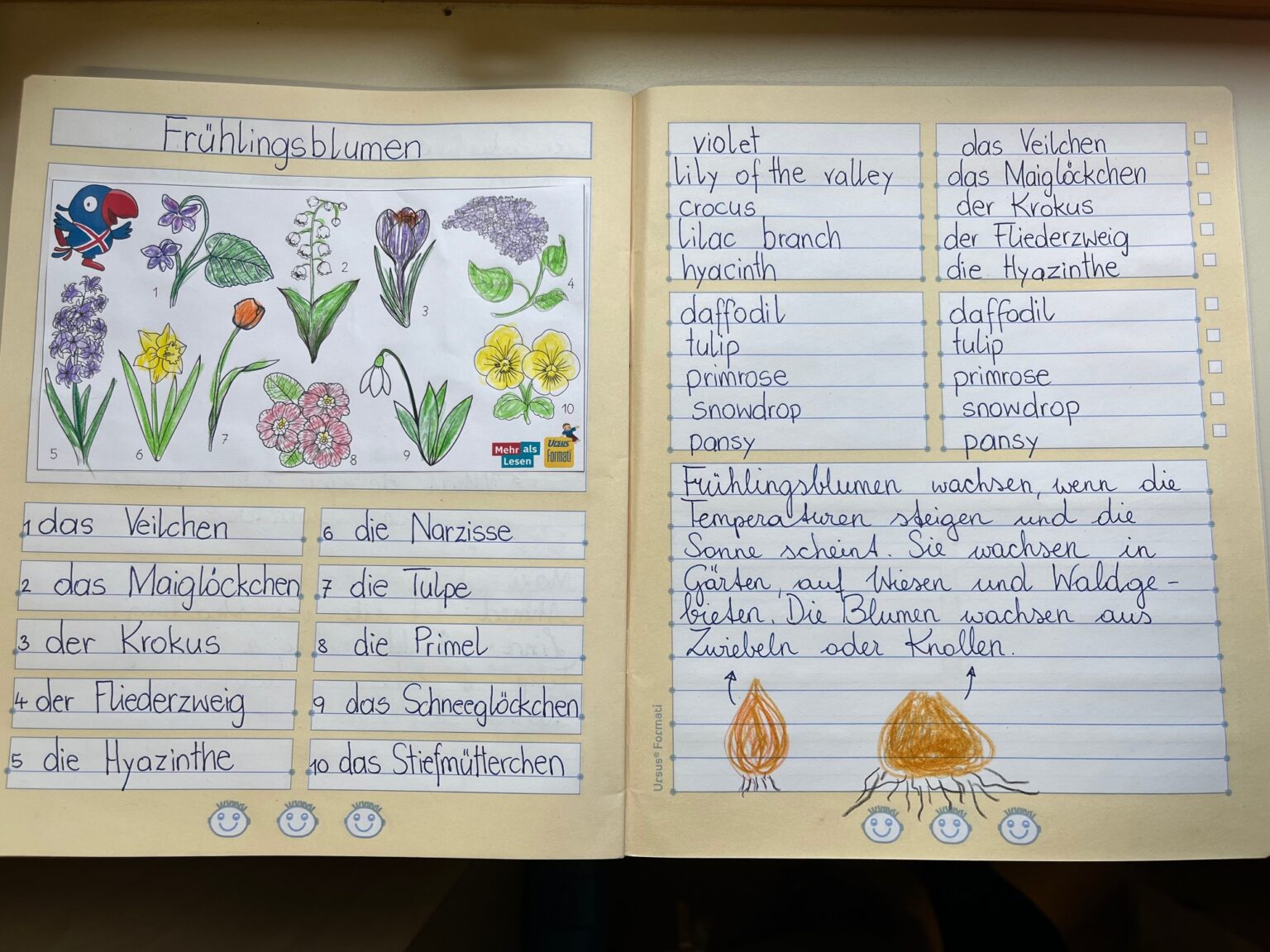 Wortschatz: spring flowers - Ursus Formati Lehrer:innen